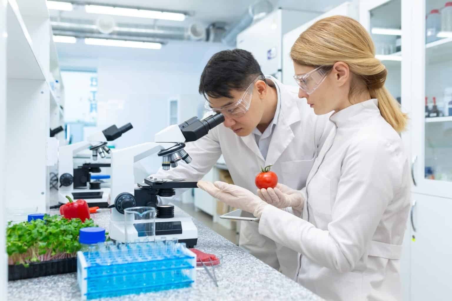 Why Chromatography is Key in Food and Beverage Testing